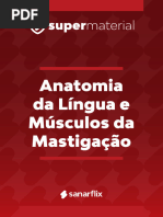 Anatomia da Região Inguinal: Estruturas e Funções | PDF | Testículo ...