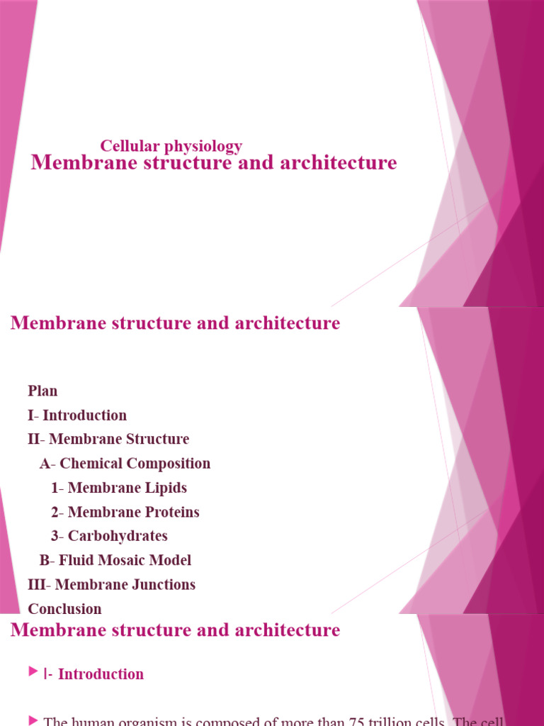 1-Membrane Structure and Architecture | Download Free PDF | Endoplasmic Reticulum | Cell (Biology)