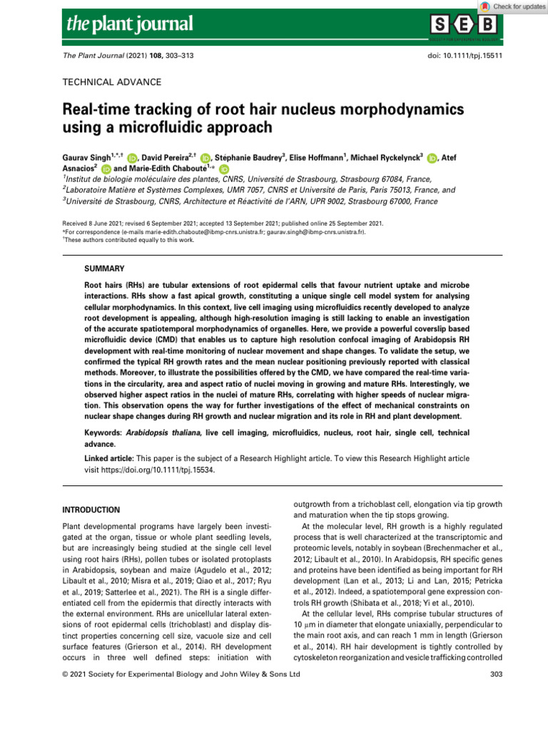 The Plant Journal - 2021 - Singh - Real Time Tracking of Root Hair Nucleus Morphodynamics Using ...