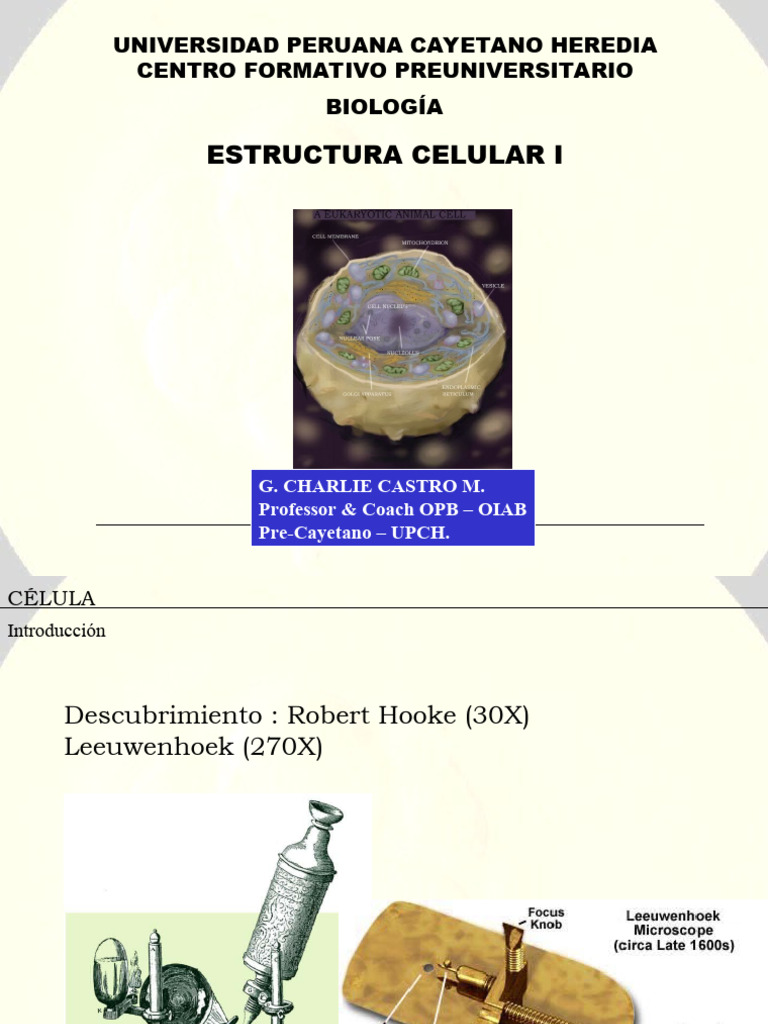 8 - Celula 1 | PDF | Biología Celular) | Nucleo celular