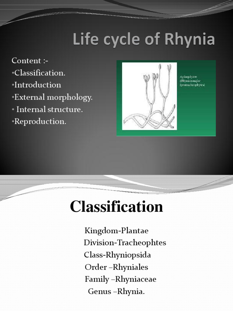 Botany (Life Cycle of Rhynia) - by Dr. Ajay Jadhao | PDF