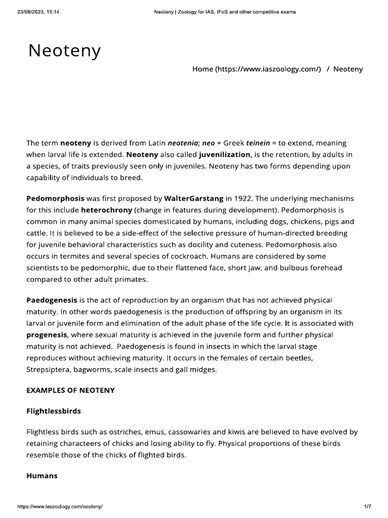Neoteny Pedomorphosis | PDF