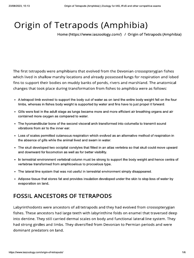 Origin of Tetrapods (Amphibia) | PDF