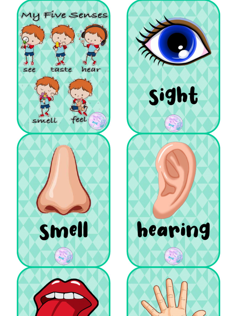 ??senses Cards | PDF