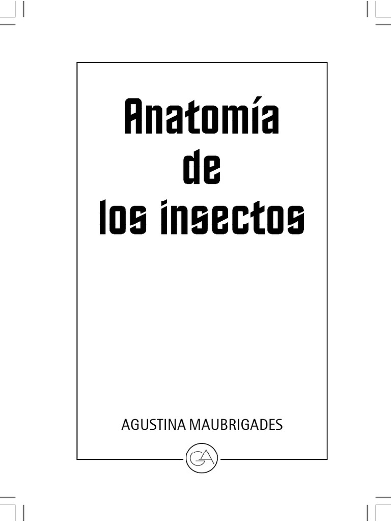 Anatomía de Los Insectos | PDF | Publicación