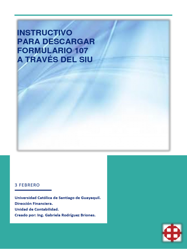 Instructivo Descarga Form107 Siu | PDF