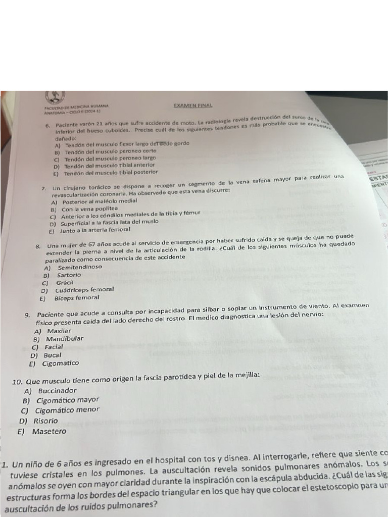 Banqueo Final Anatomia | PDF