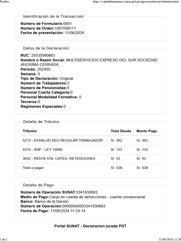 Constancia Pago de Impuestos (PDT 601) Junio | PDF | Negocios | Finanzas y dinero