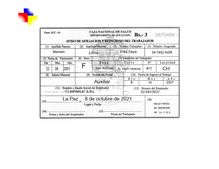Formulario Avc 04 | PDF
