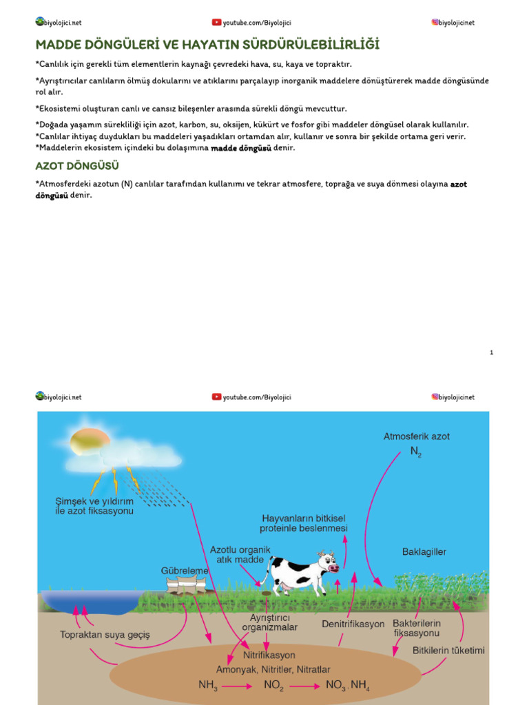 Ekosistem Ekolojisi 3 Pdf