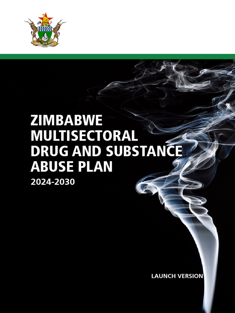 Drug and Substance Abuse Plan 2024 - 2030 | PDF | Substance Abuse ...