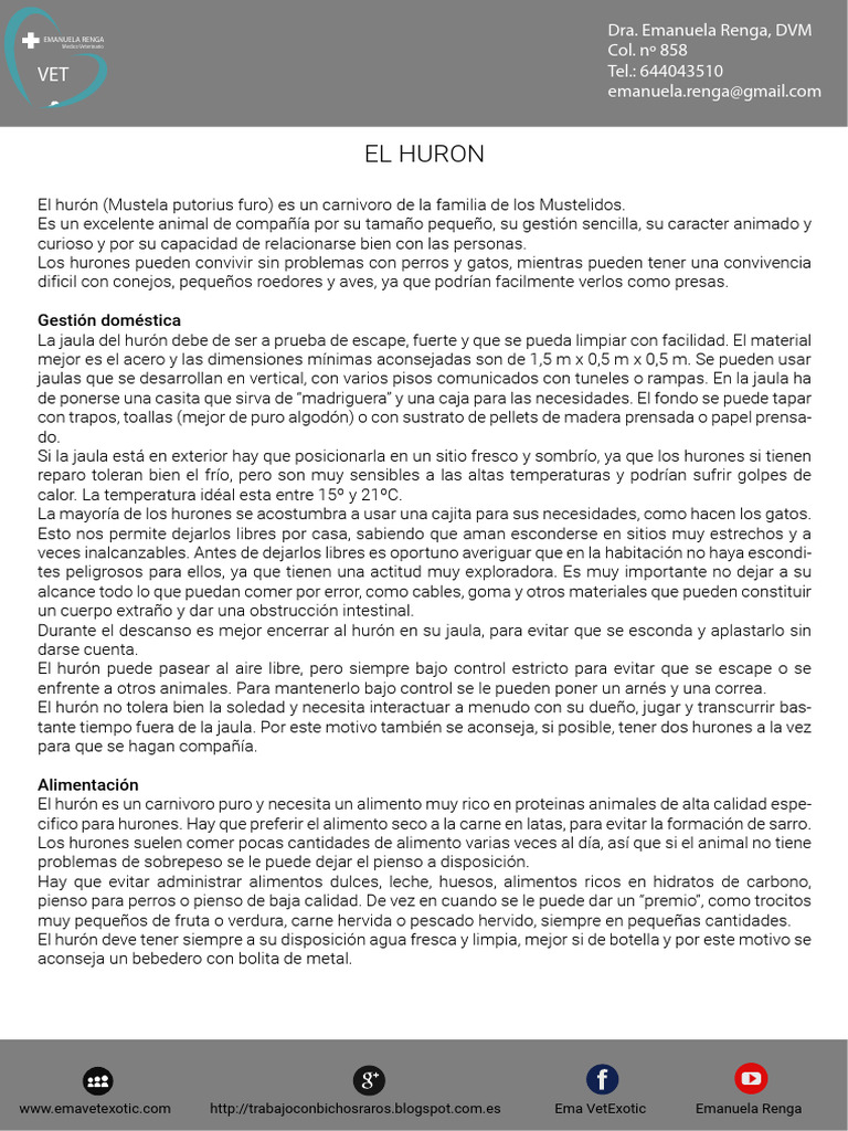El Huron | PDF | La alimentación animal | Alimentos