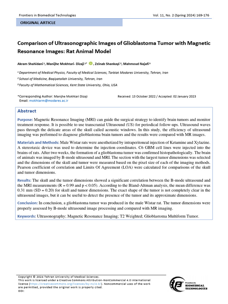 Comparison of Ultrasonographic Images of Glioblastoma Tumor With ...