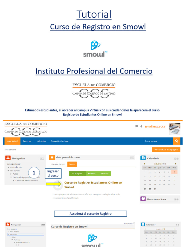 Tutorial Curso Registro de Smowl | PDF | Informática