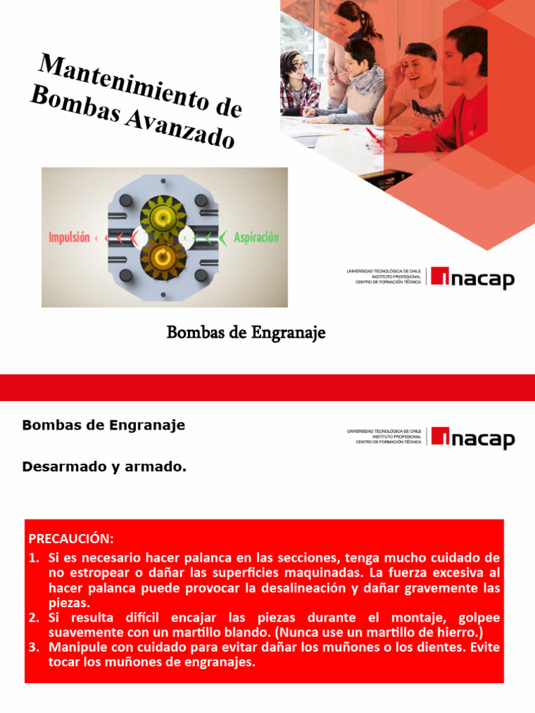 Bombas de Engranaje Ejemplo Armado y Desarme | PDF | Engranaje | Fuerza