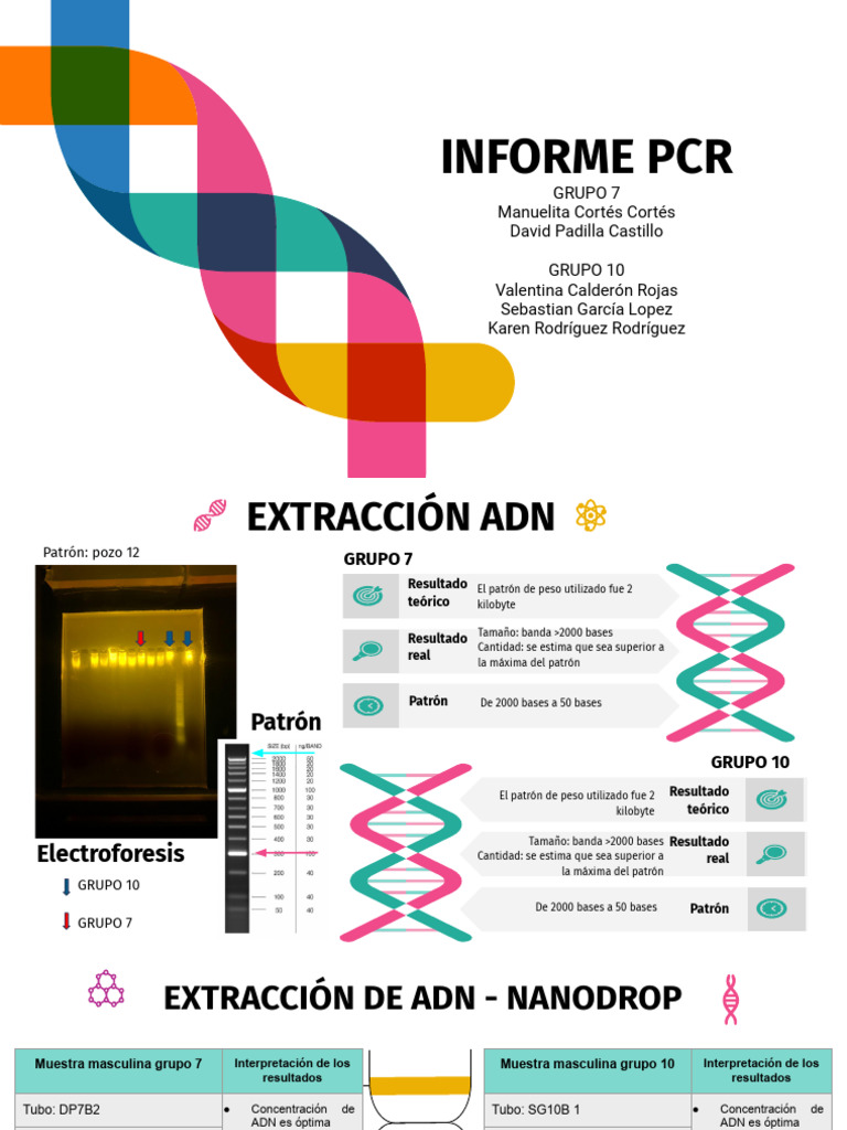 Informe de Extracción y PCR de ADN | PDF | Reacción en cadena de la ...