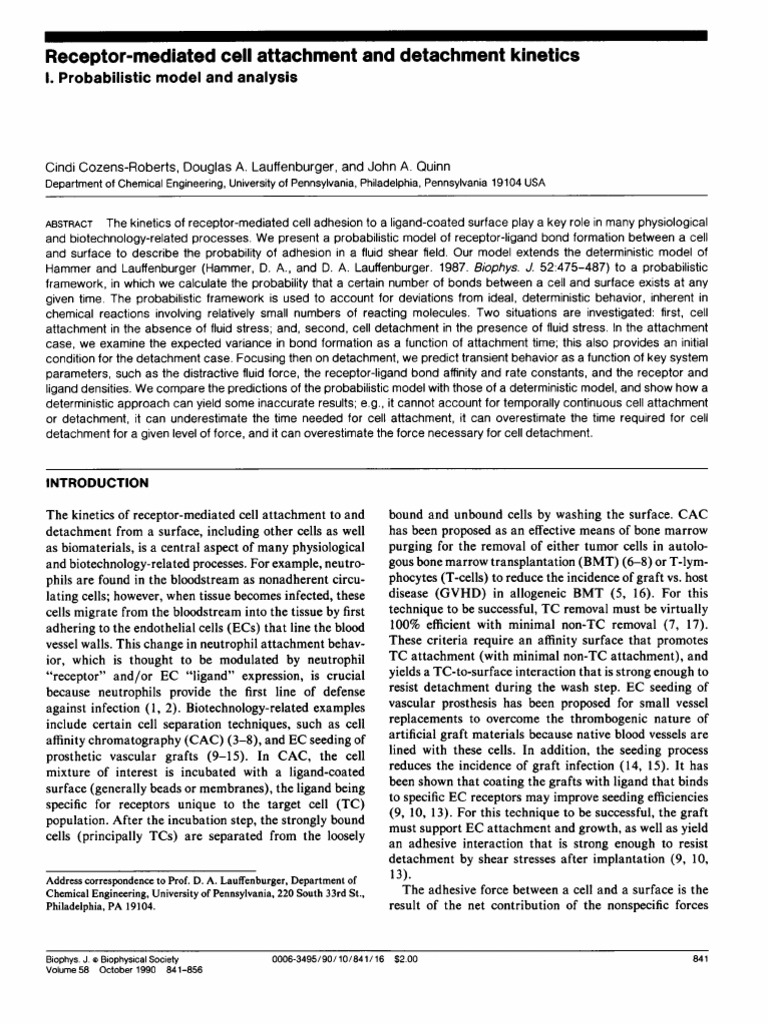 Probabilistic Model of Cell Adhesion Kinetics | PDF | Ligand ...