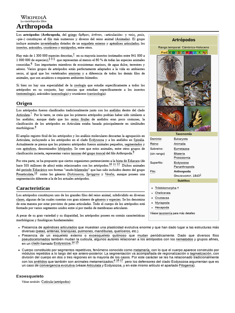Arthropoda | PDF | Artrópodos