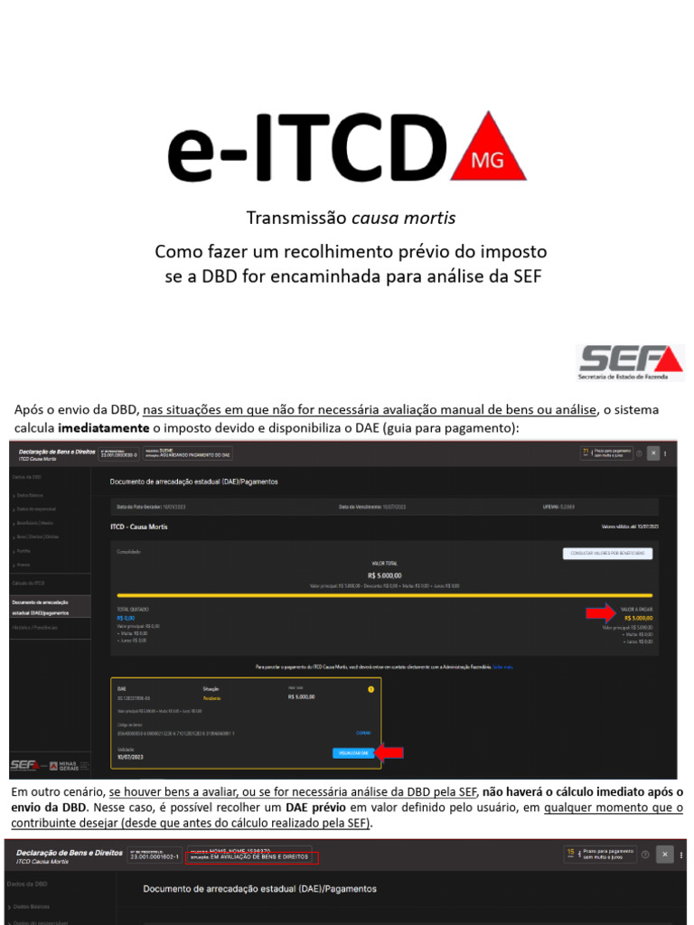 E ITCD Como Emitir Um DAE Previo | PDF | Finanças e Administração de ...