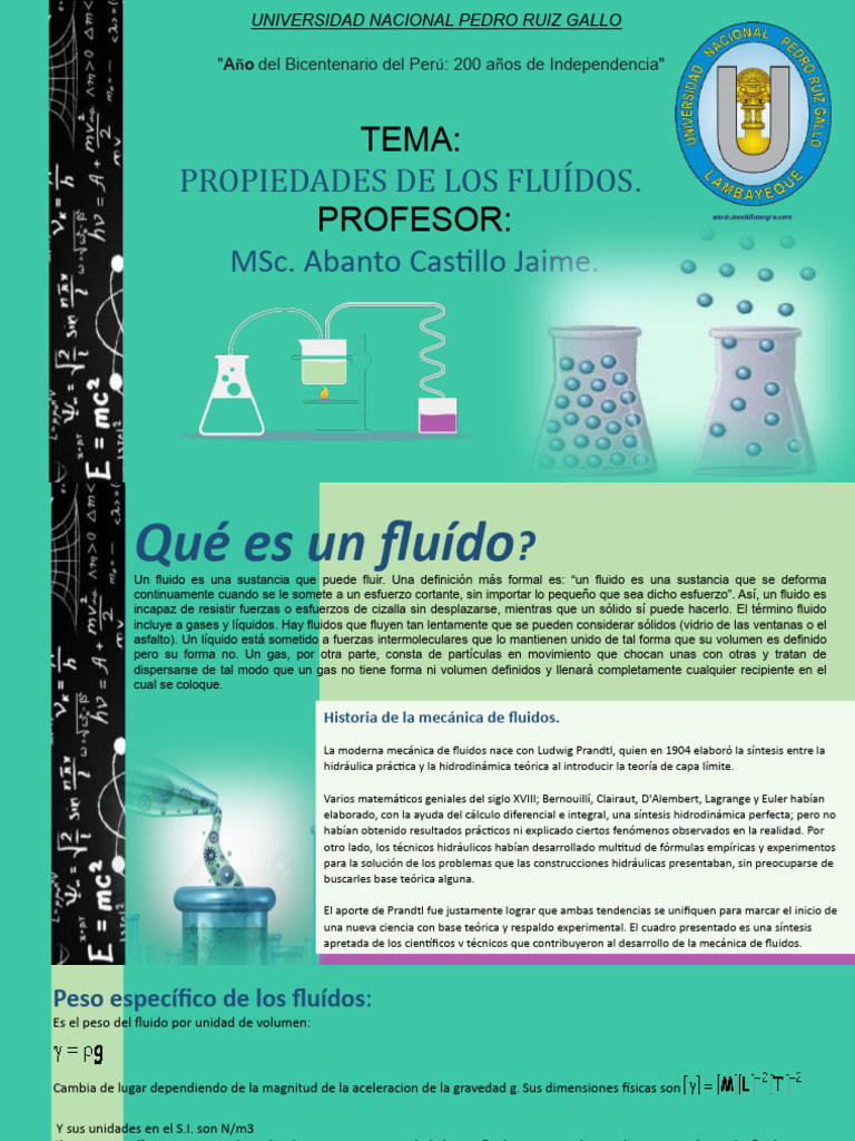 Fisica Fluidos Propiedades | PDF | Mecánica de fluidos | Gases