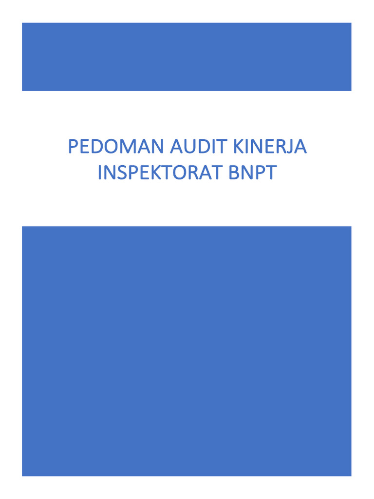 Pedoman Audit Kinerja | PDF