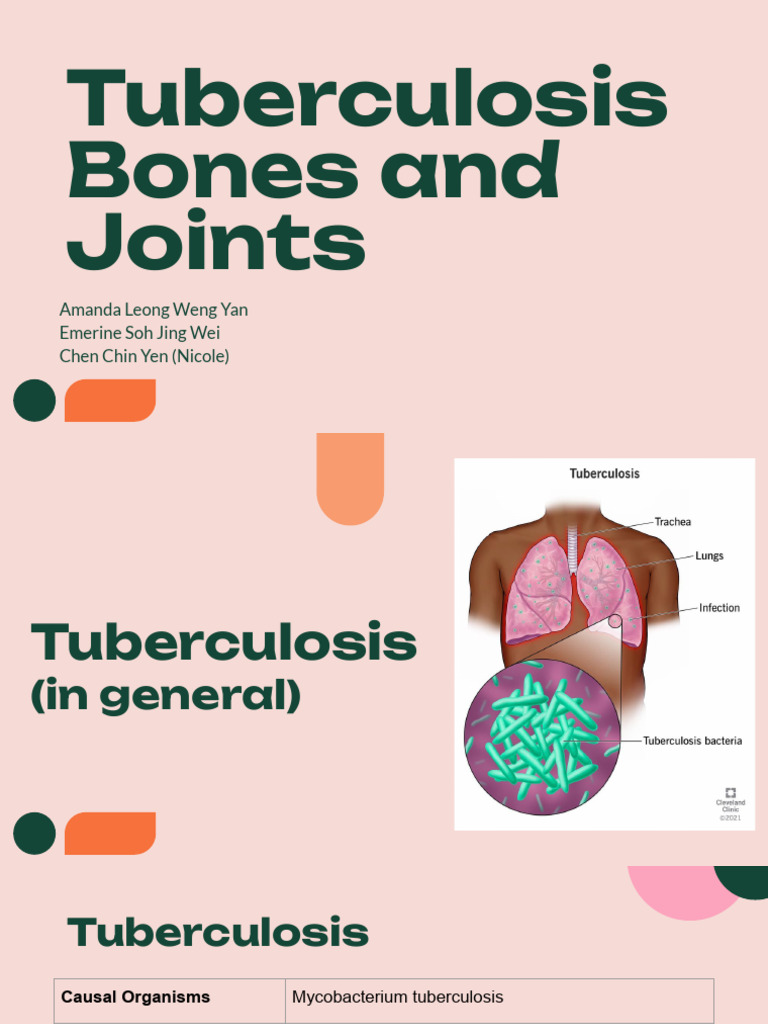 TB Bones and Joints | PDF | Vertebral Column | Tuberculosis