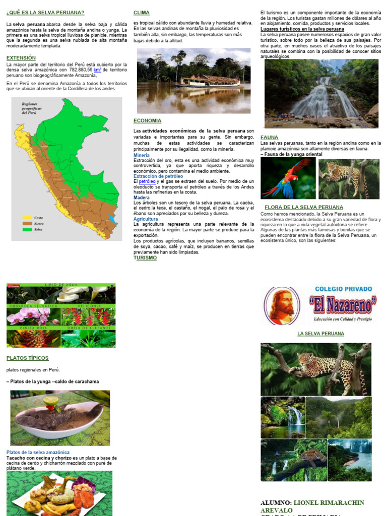 LA SELVA PERUANA Actualizada07 de Julio | PDF | Perú | Ciencias de la ...