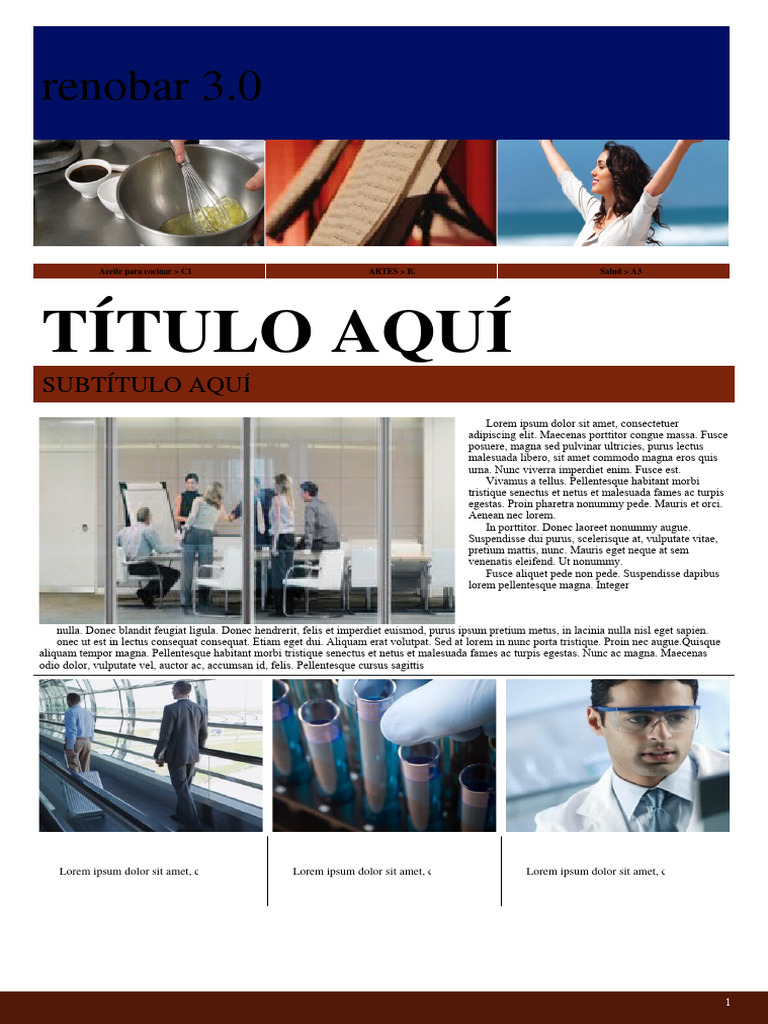 Renobar 3 0 | PDF