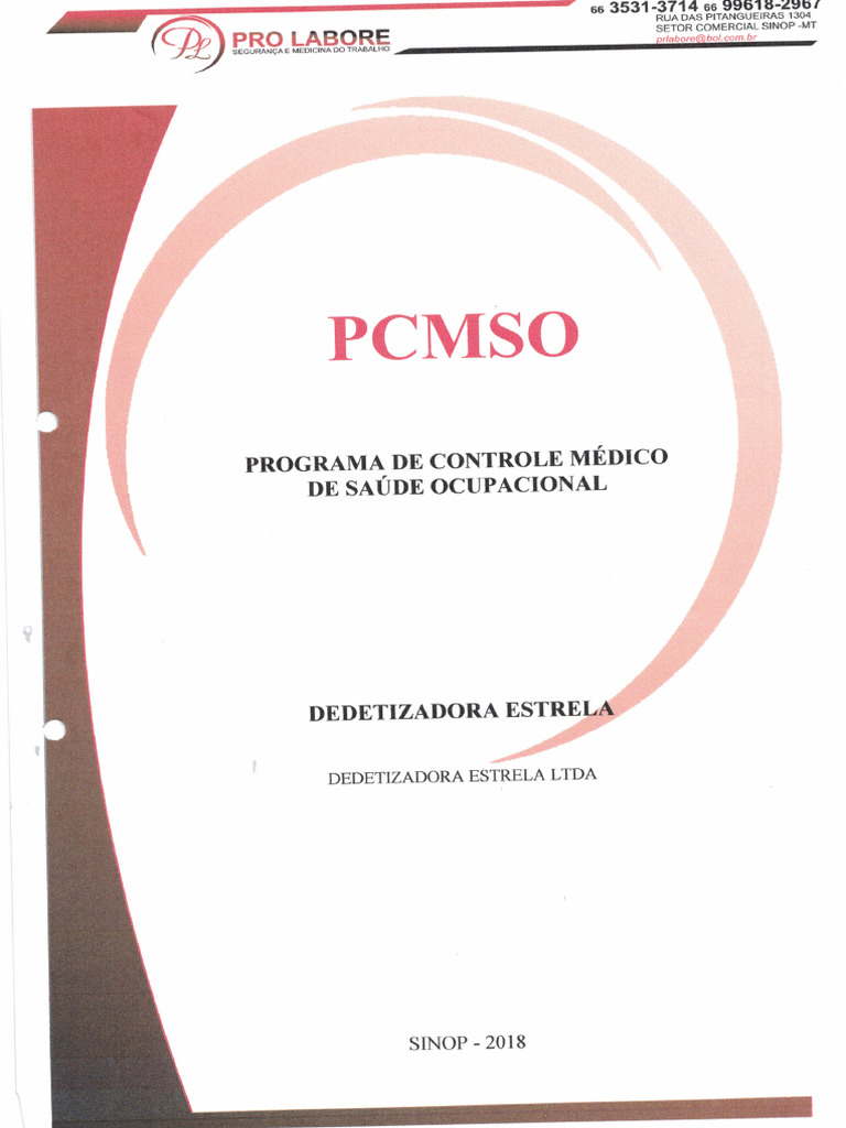 Pcmso II | PDF