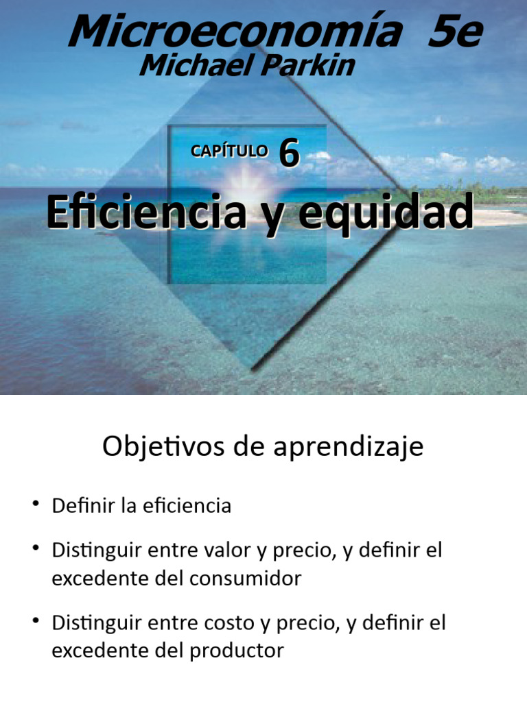 2015 - Vi - Micro - Eficiencia y Equidad - Sesion 6 | PDF | Excedente ...