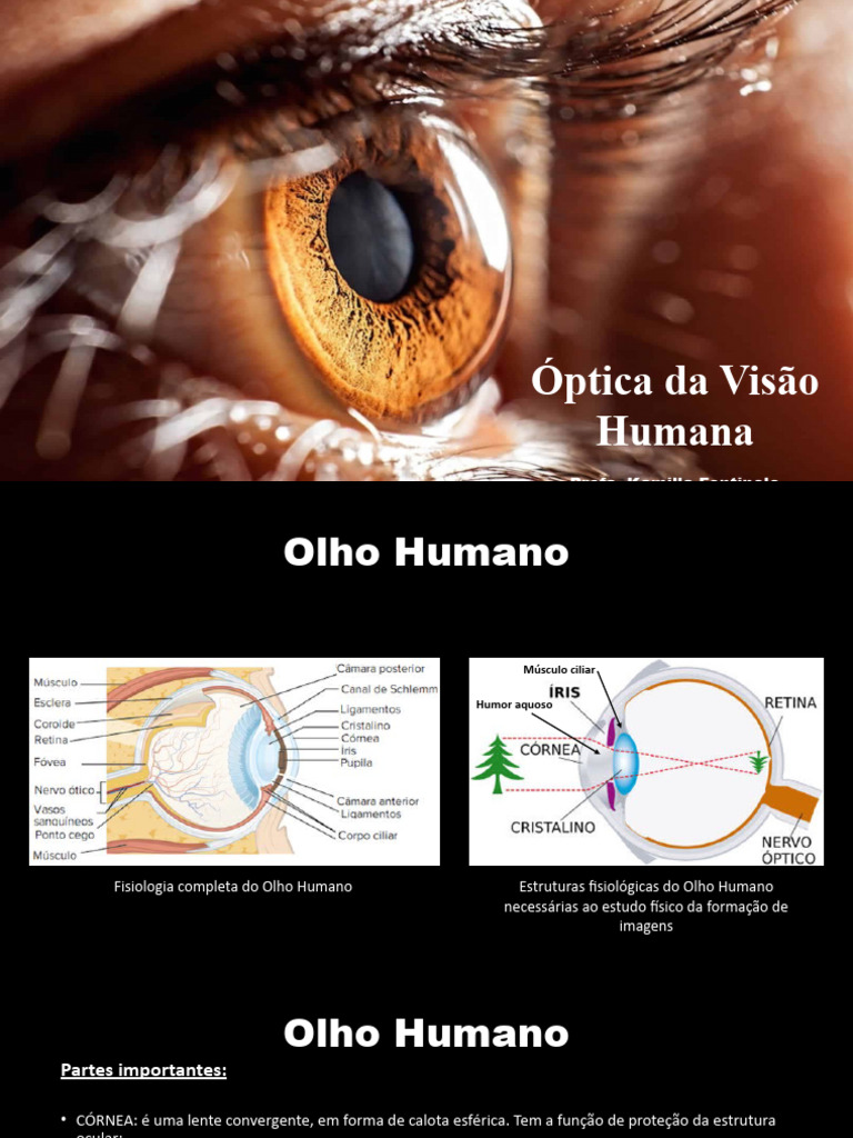 Fisiologia e Anomalias da Visão Humana | PDF | Olho | Olho humano