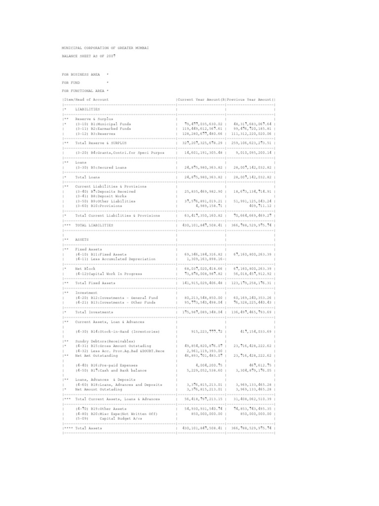 Balance Sheet 2007 | PDF | Expense | Balance Sheet