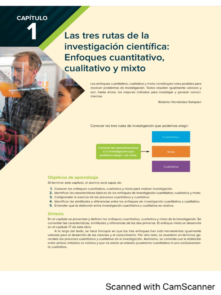 Cap 1 Sampieri | PDF