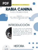 Ficha de Profilaxis Antirrábica | PDF | Rabia | Ciencias de la Salud