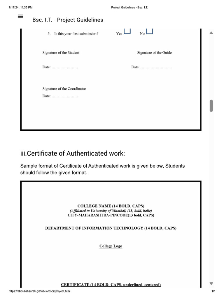 Project Guidelines | PDF