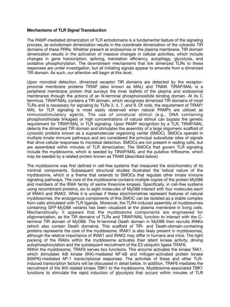 Mechanisms of TLR Signal Transduction | PDF | Toll Like Receptor | Interferon