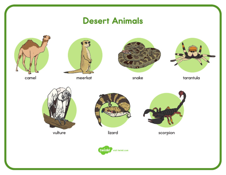 Discover Desert Animals: A Guide | PDF