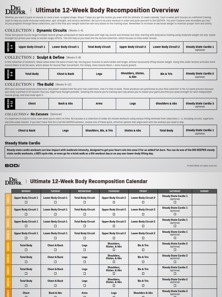 DDPR en US 12 Week Calendar 121823 | PDF | Skeletal Muscle | Aerobic ...