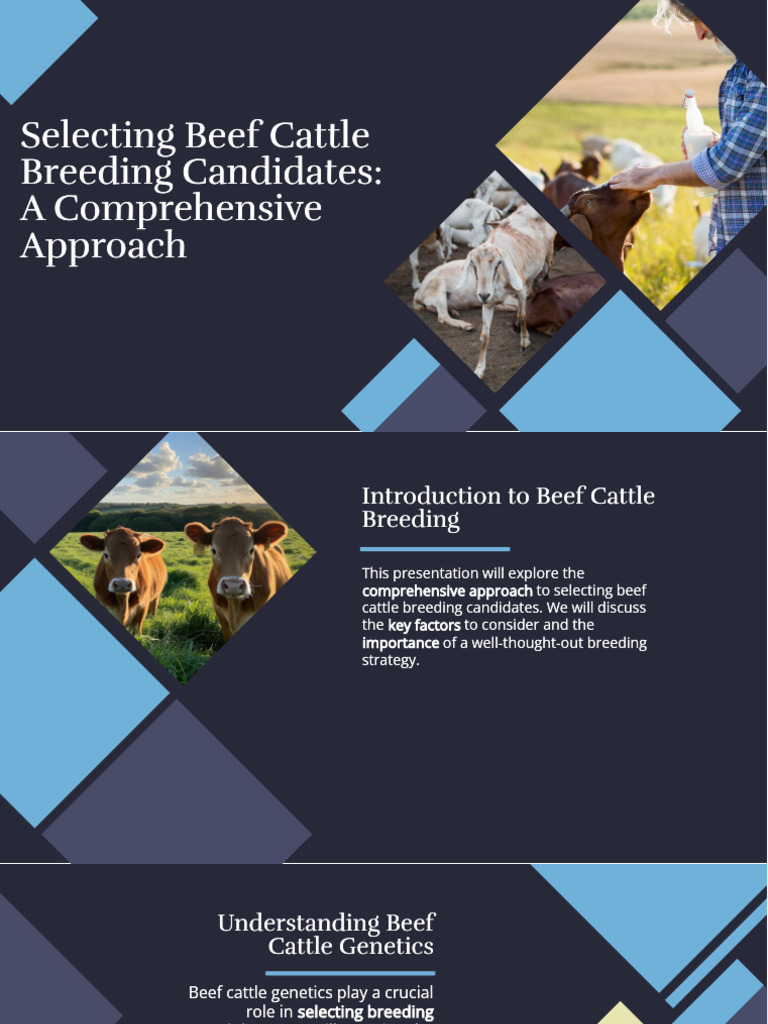 Wepik Selecting Beef Cattle Breeding Candidates A Comprehensive ...