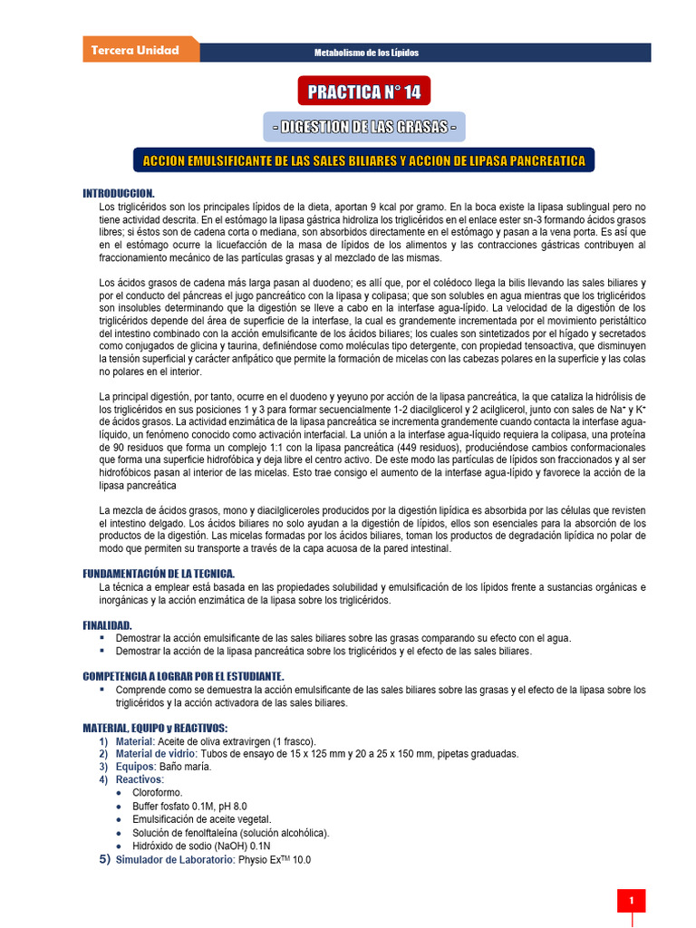 PRACTICA 14. Digestión de las grasass | Descargar gratis PDF | Digestión | Lípido