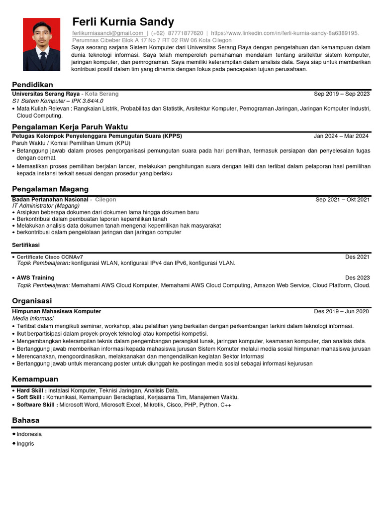 CV Sistem Komputer | PDF