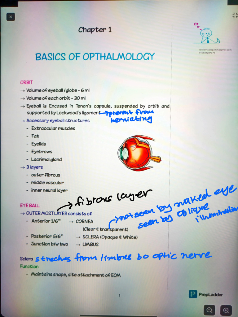 Chapter 1 Basics of Ophthalmology Part 1 | PDF