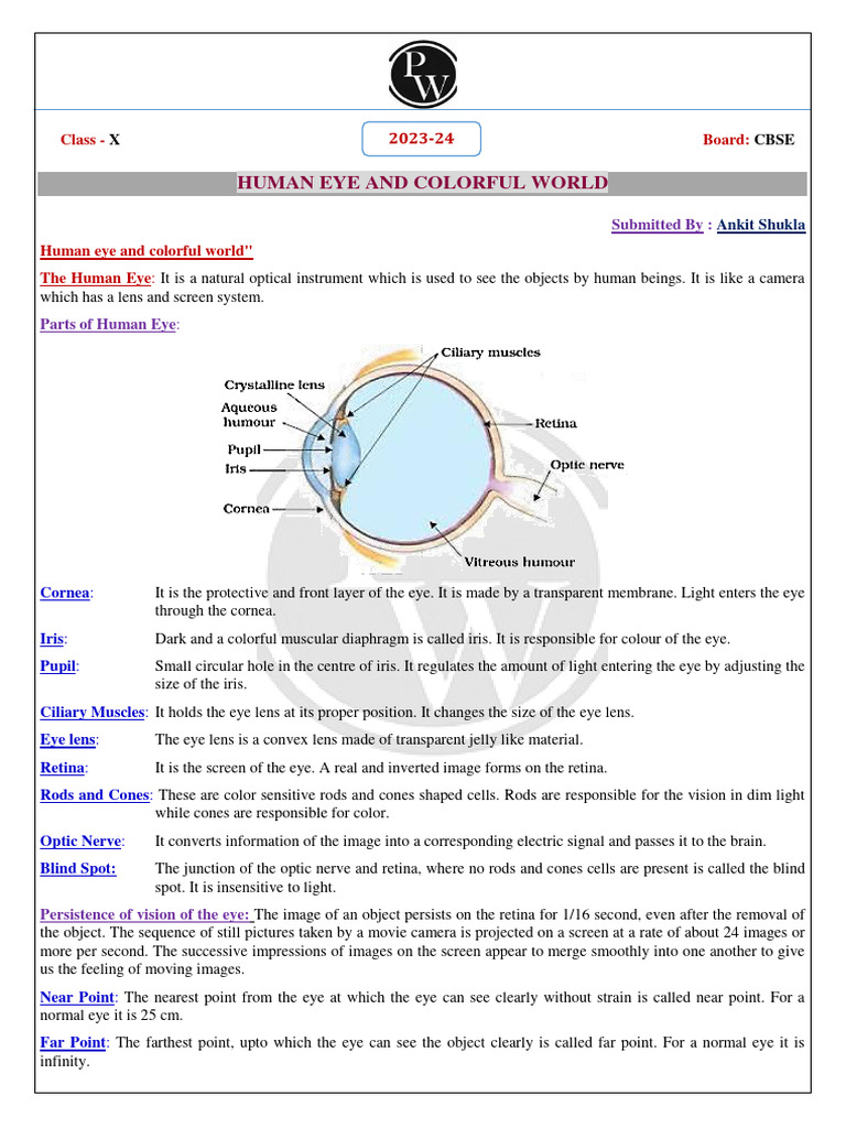 65fa9ac009db150018d43535 - ## - Human Eye and Colorful World - Short ...