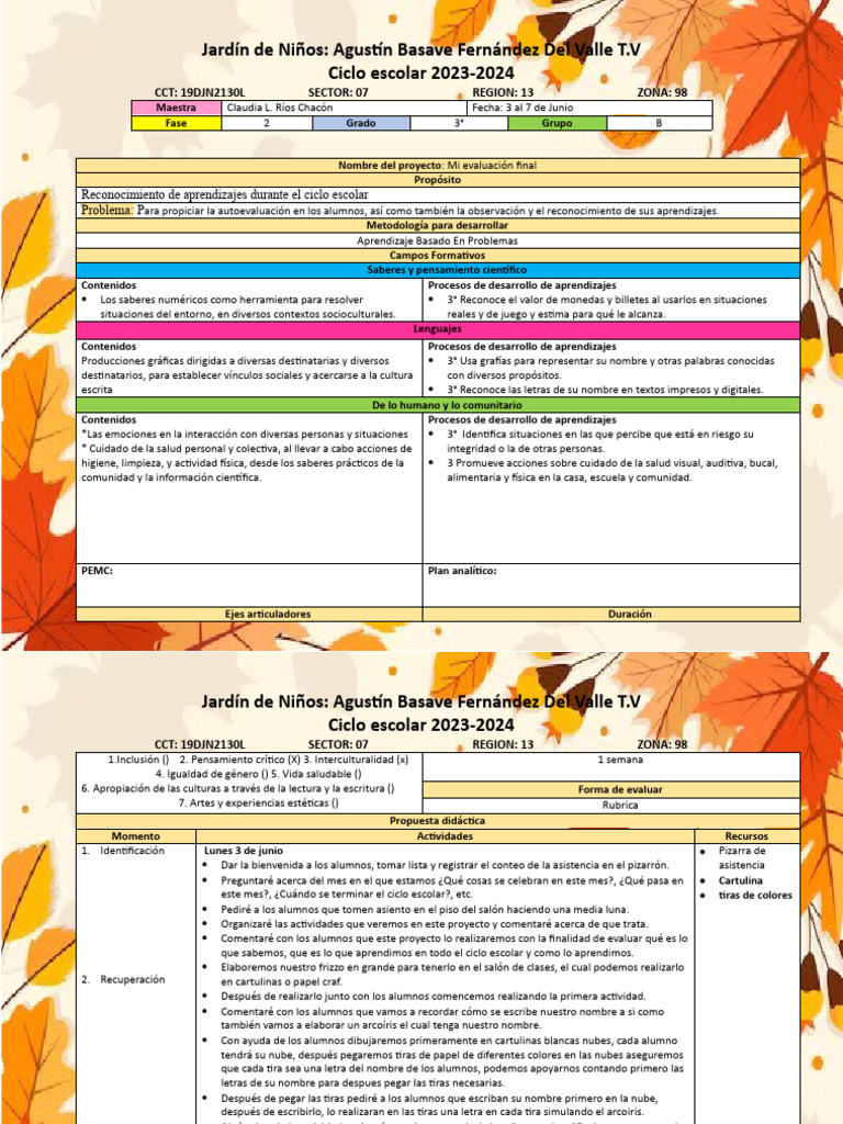 Plan Junio Mtra Claudia | PDF | Educación de la primera infancia | Conceptos psicologicos