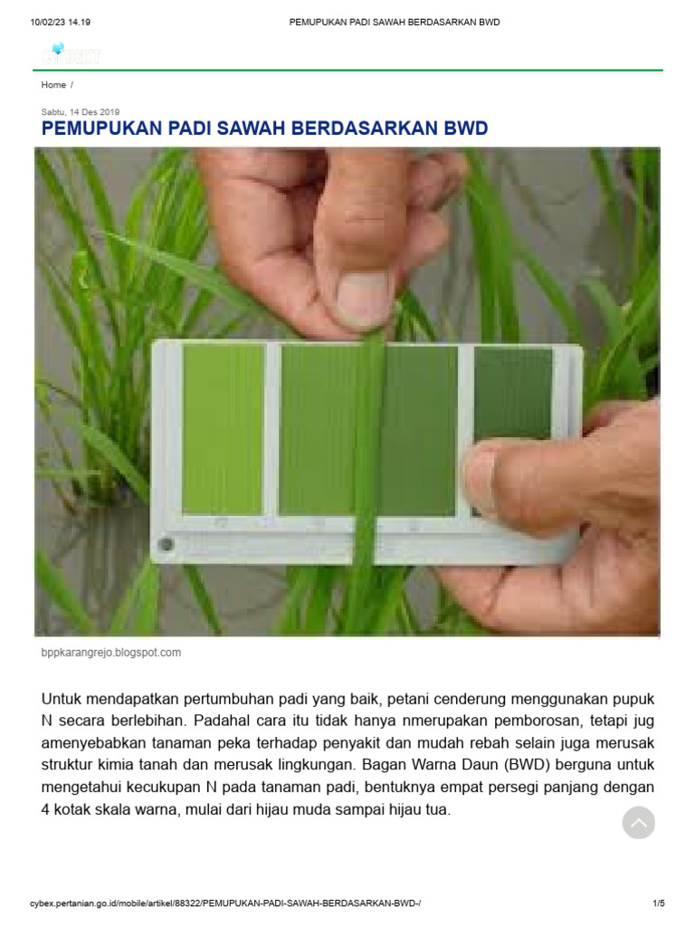 Pemupukan Padi Berdasarkan BWD | PDF | Kesehatan Holistik