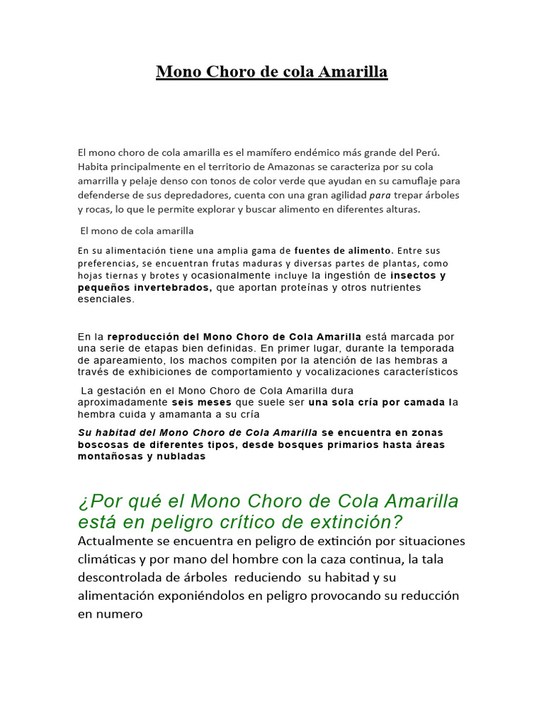 Mono Choro de Cola Amarilla | PDF