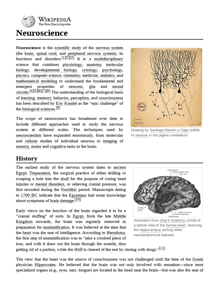 Neuroscience | PDF | Neuroscience | Nervous System