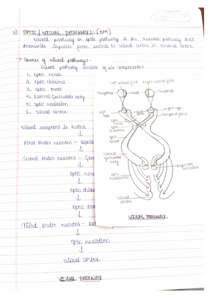 Physiology of Vision | PDF