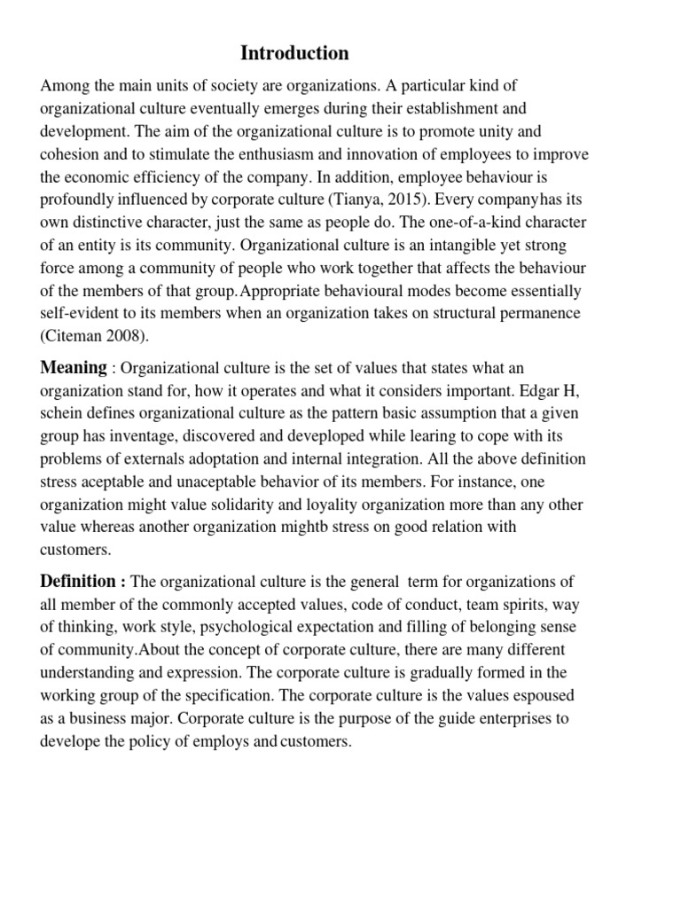 Aryan Project 2 | PDF | Organizational Culture | Organizational Behavior