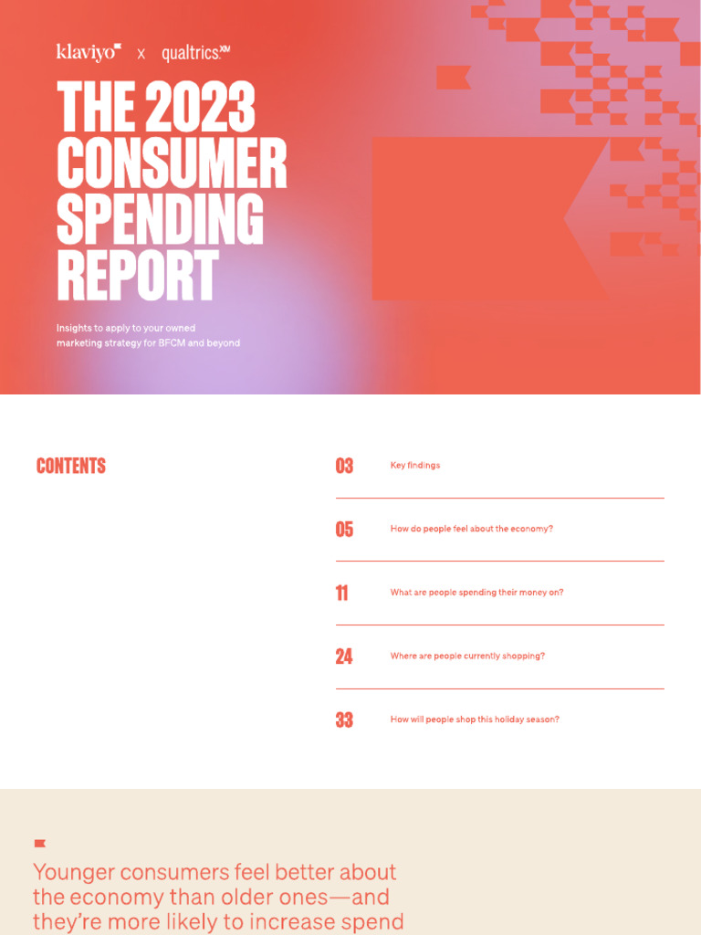 2023 Consumer Survey Report | PDF | Behavior | Marketing